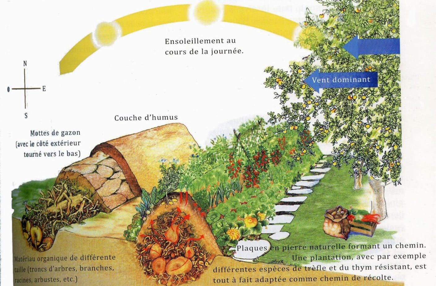 Permaculture: réaliser une butte auto-fertile en 4 étapes!
