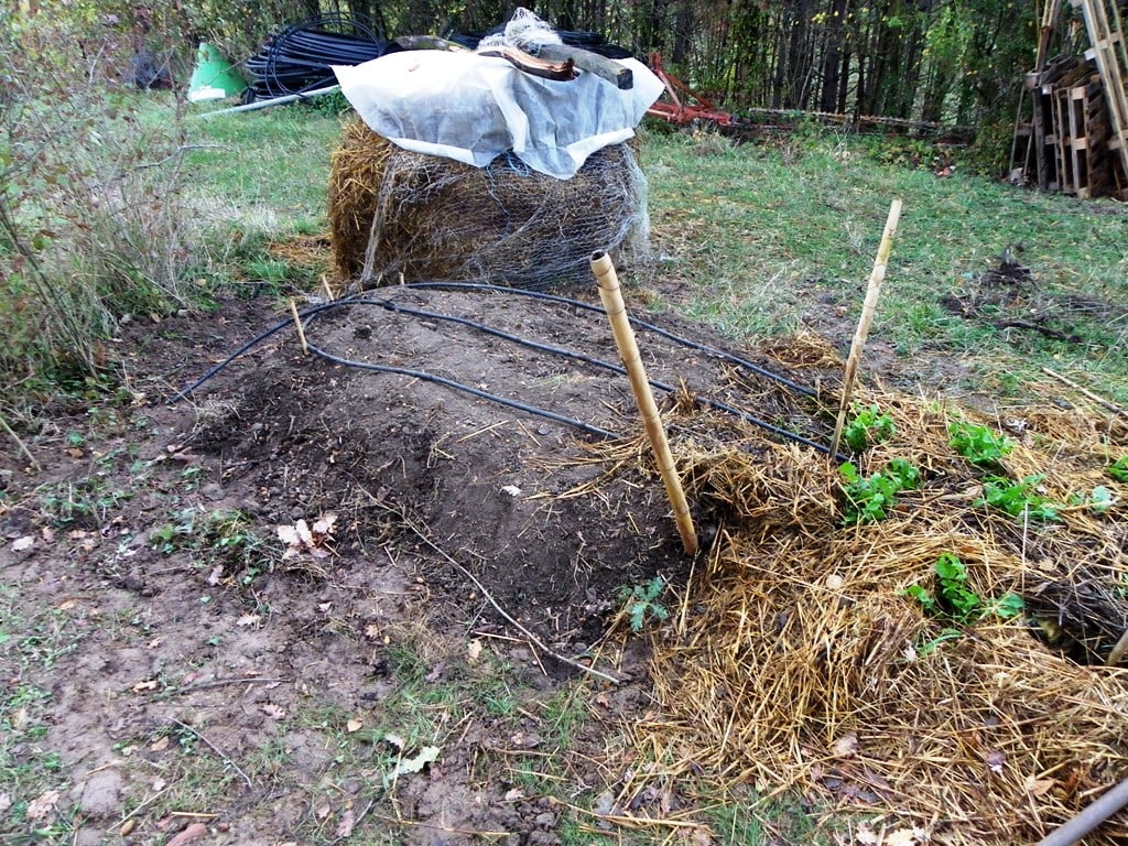 Permaculture: réaliser une butte auto-fertile en 4 étapes!